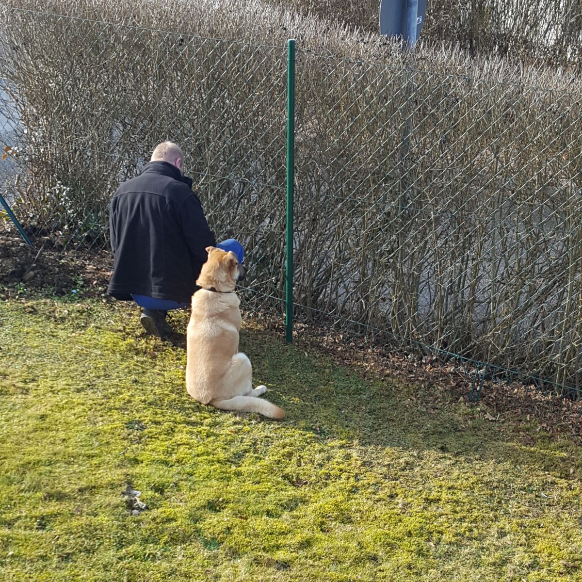 Timot | Tierheim Fulda - Hünfeld e.V.